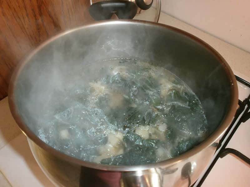 Bienfaits de la racine d’ortie - AloeVera-ginkgo.com