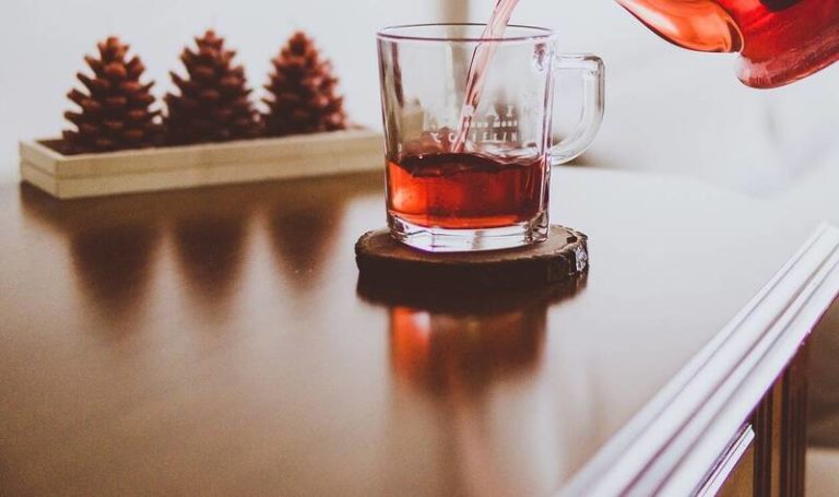 Bienfaits du jus de cassis: [propriétés et recettes] - AloeVera-ginkgo.com